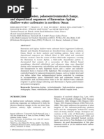 Oman Subsurface Stratigraphy 1 | PDF