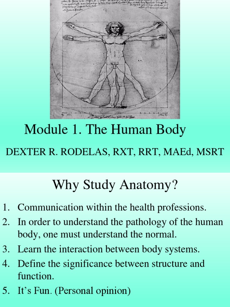 Module 1 - The Human Body | PDF | Anatomical Terms Of Location | Human Body