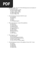 Study Questions Special Senses | PDF | Ear | Auditory System