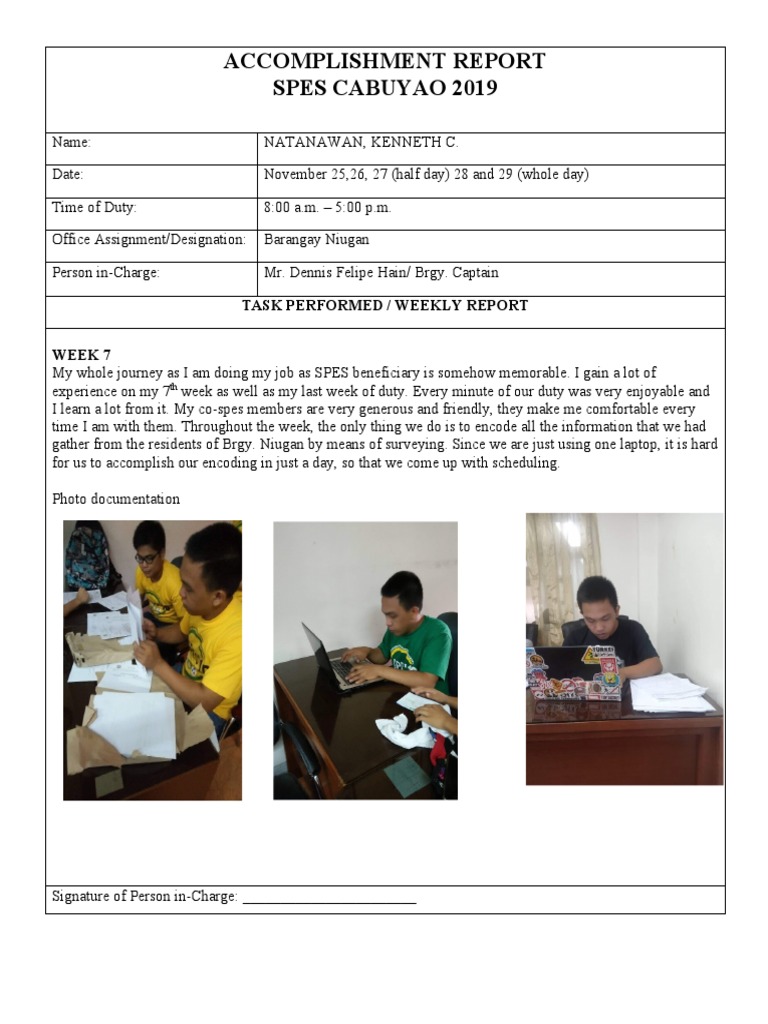 Spes Accomplishment Report | PDF