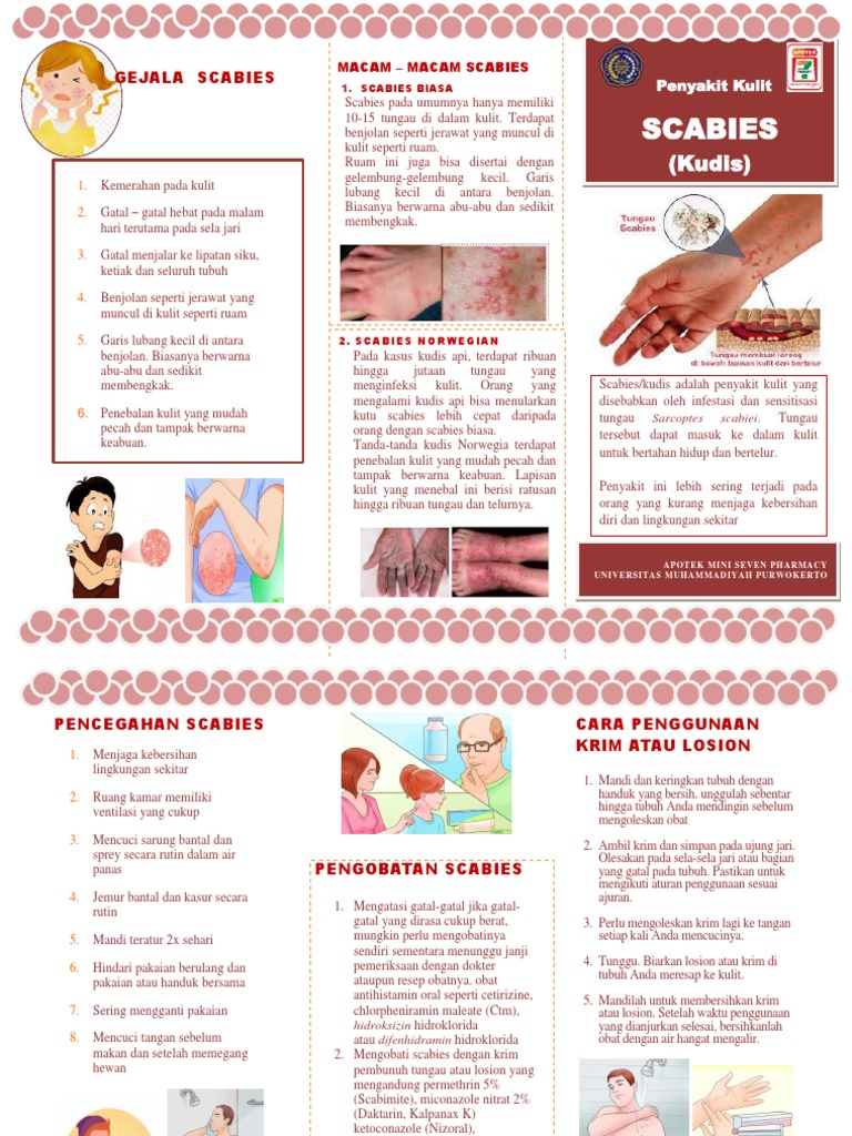 Leaflet Scabies PDF | PDF