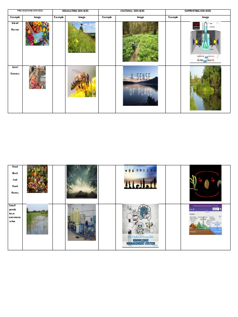 Regulating Services Cultural Services Supporting Services Example Image ...