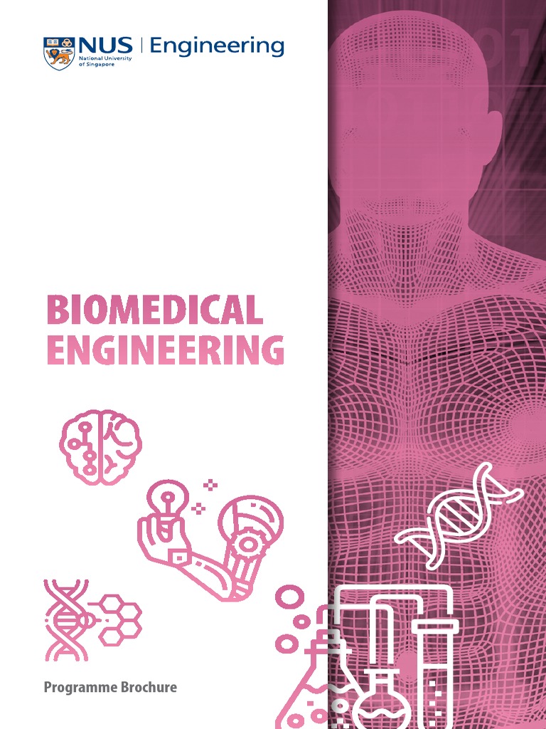 NUS Biomedical Engineering Program Overview | PDF | Biomedical ...