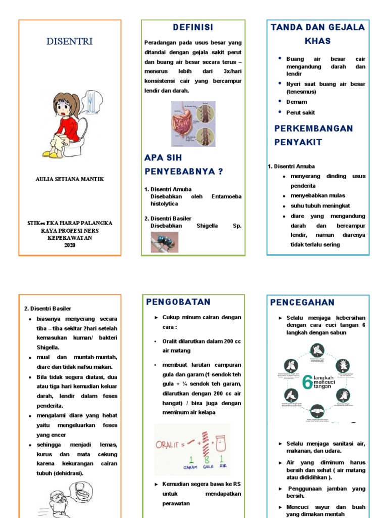 SAP Dan Leaflet Disentri PDF | PDF