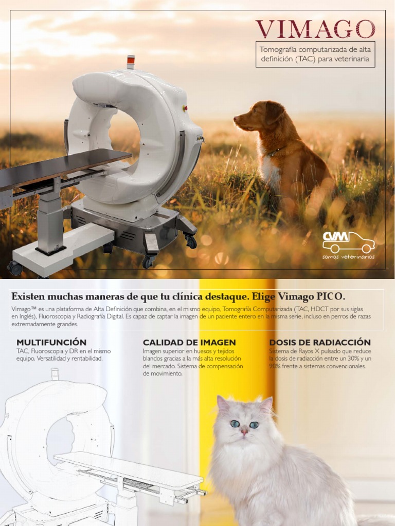 Tac CMV Vimago-Pico | PDF | Ct Scan | Rayo X