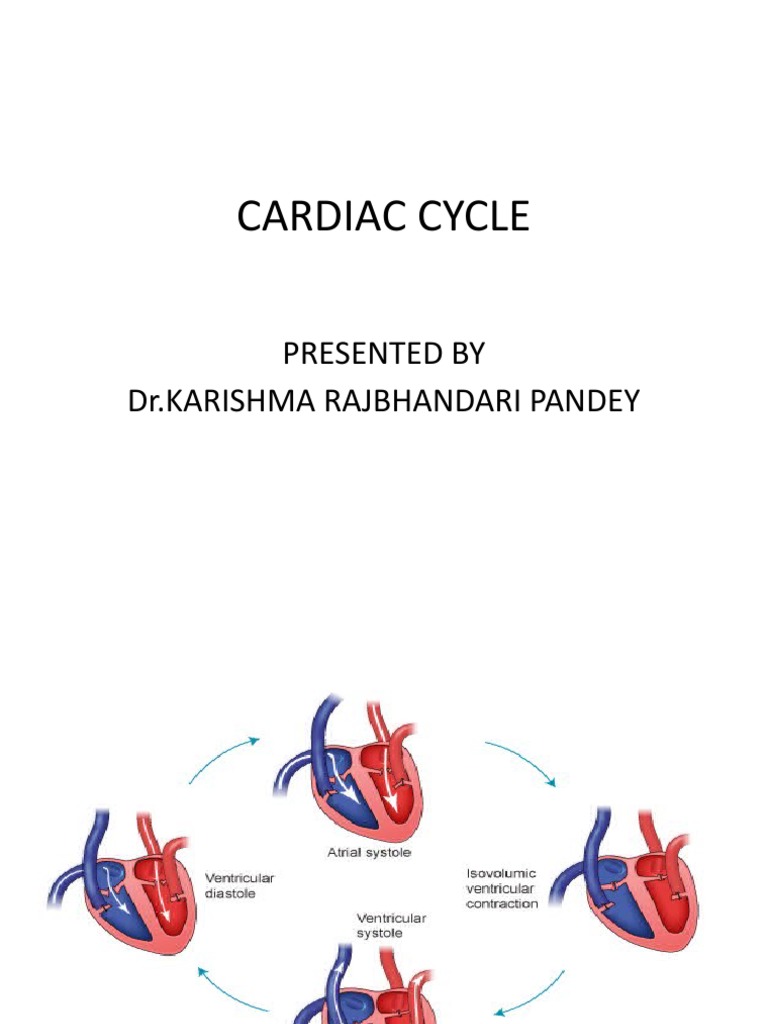Cardiac Cycle | PDF