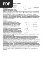 Finom Metrikus Menet Méretei Mm.-Ben ISO 724 (DIN 13) | PDF