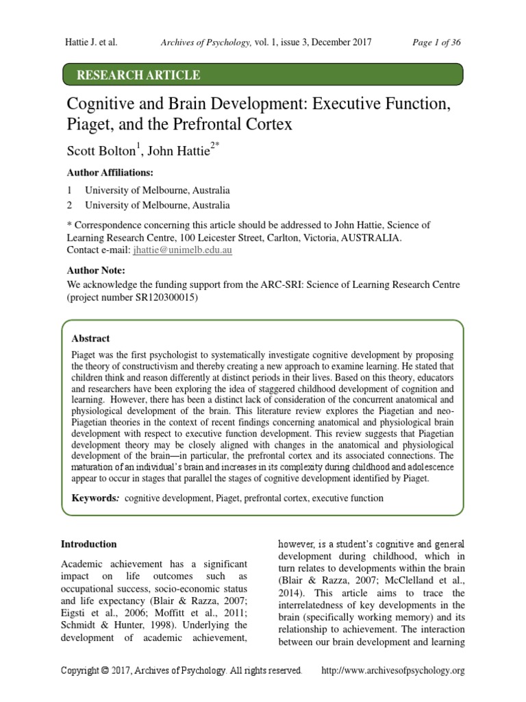 Piaget-Plasticidad Neuro PDF | PDF | Executive Functions | Prefrontal Cortex