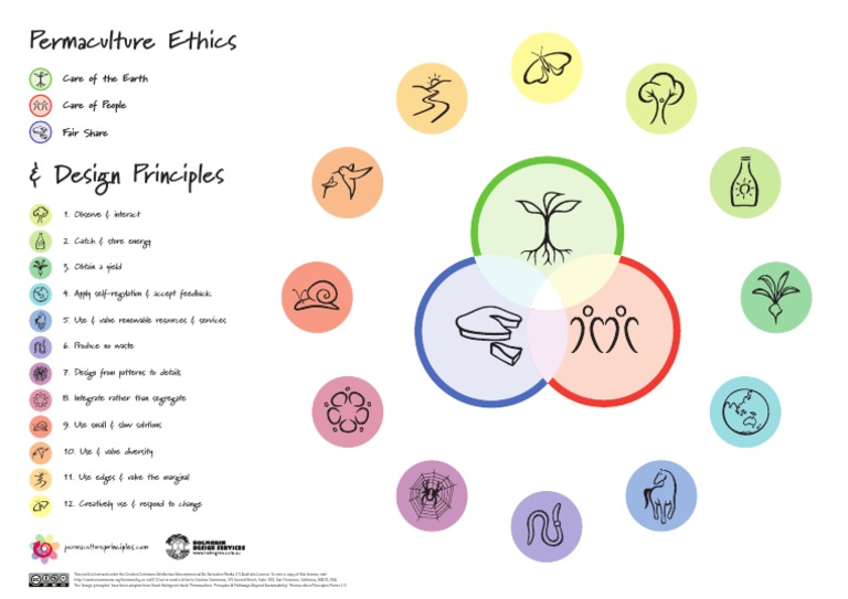 Essential Permaculture Ethics Guide | PDF