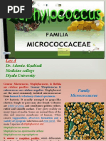 Microbiology Biochemical Test Chart | PDF | Bacillus | Staphylococcus