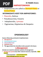 Paramphistomes | PDF
