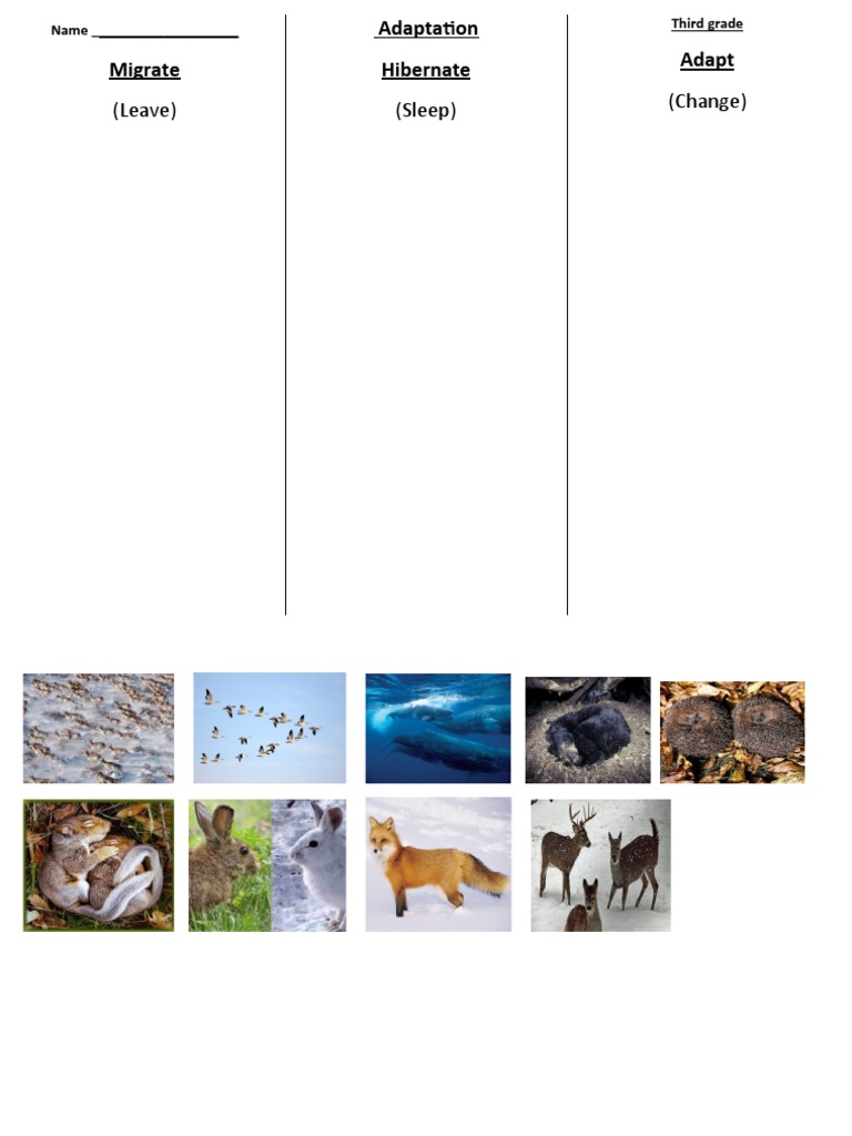Migrate Hibernate Adapt Cut Paste | PDF