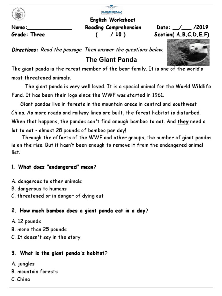 Reading Comprehension - The Giant Panda