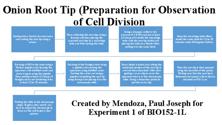 Created by Mendoza, Paul Joseph For Experiment 1 of BIO152-1L | PDF ...