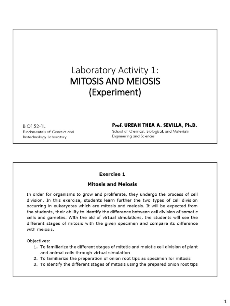 Laboratory Activity 1: Mitosis and Meiosis (Experiment) : BIO152-1L | PDF