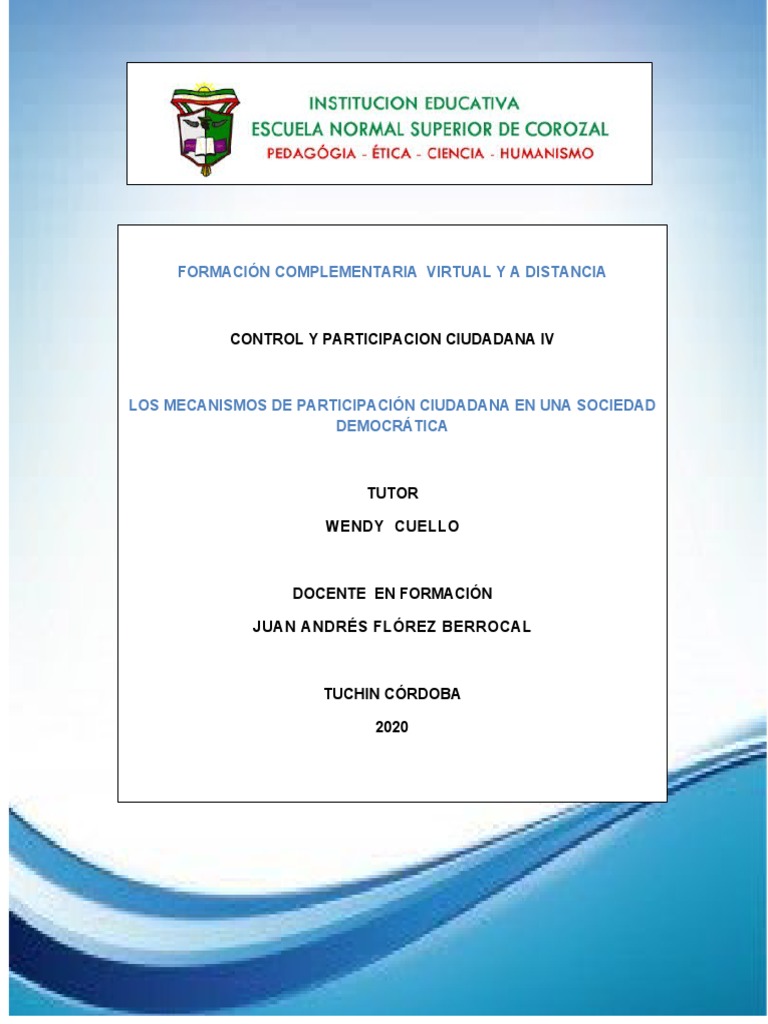 ENSAYO Participacion Ciudadana | PDF | Participación pública | Democracia