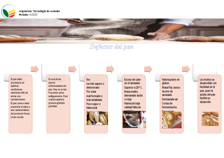 Defectos Del Pan | PDF | Panes | Ingredientes de comida