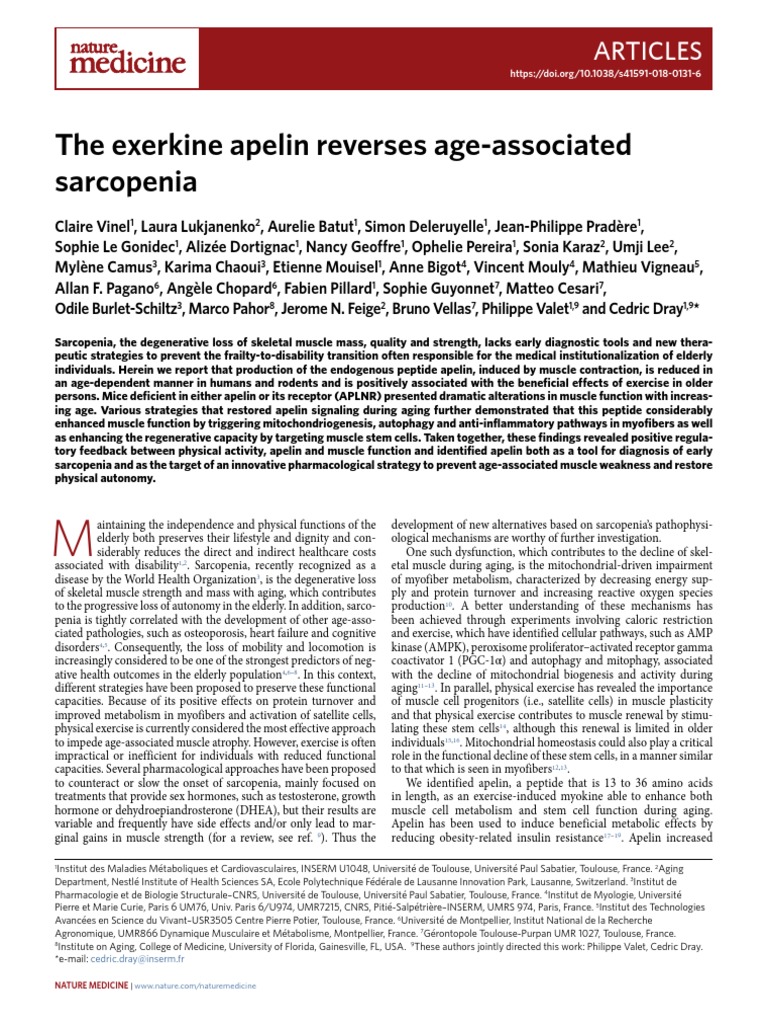 The Exerkine Apelin Reverses Age-Associated Sarcopenia: Articles | PDF ...