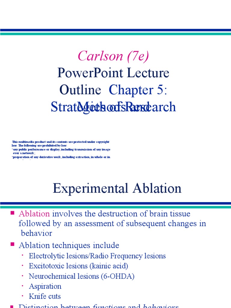 Lesson-5 Methods and Strategies of Research | PDF | Brain | Neuron