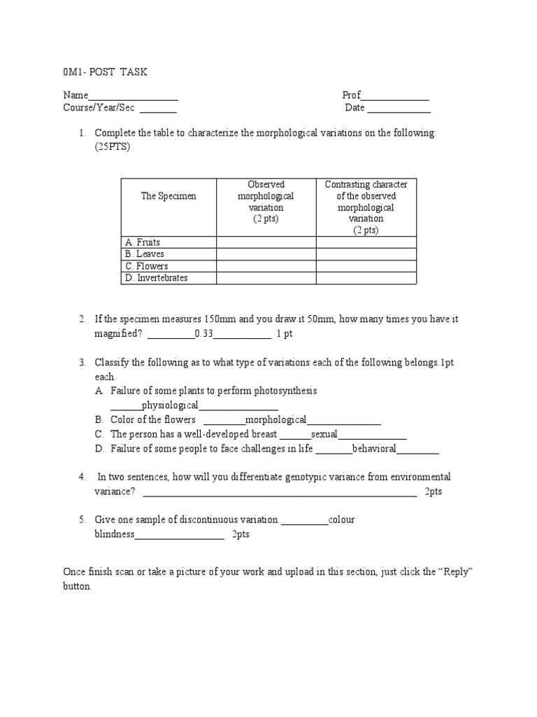 M1 - POST TASK (AutoRecovered) | PDF