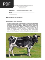 Visceras de La Res | PDF | Menudencias | Carne