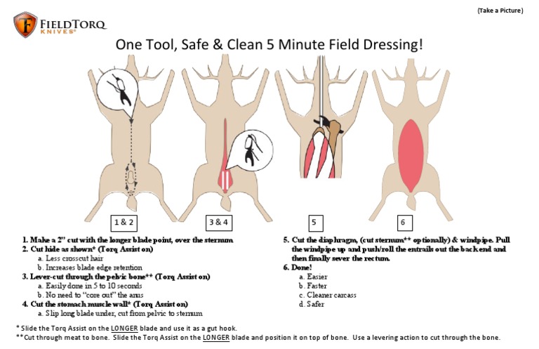 Field Dressing Diagram | PDF