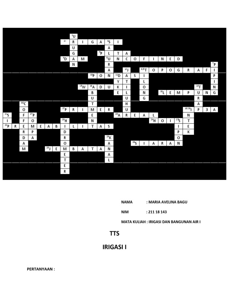 Maria Bagu (211 18 143) Tugas TTS Irigasi 1 | PDF