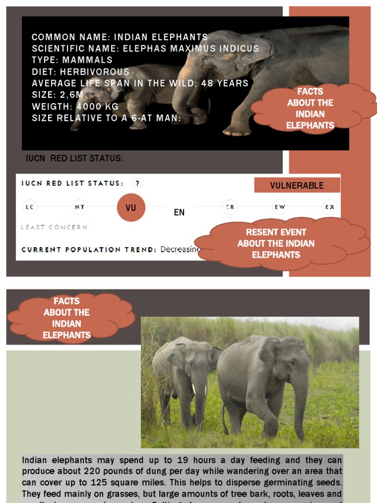 Iucn Red List Status: Vulnerable EN VU | PDF | Organisms | Agriculture