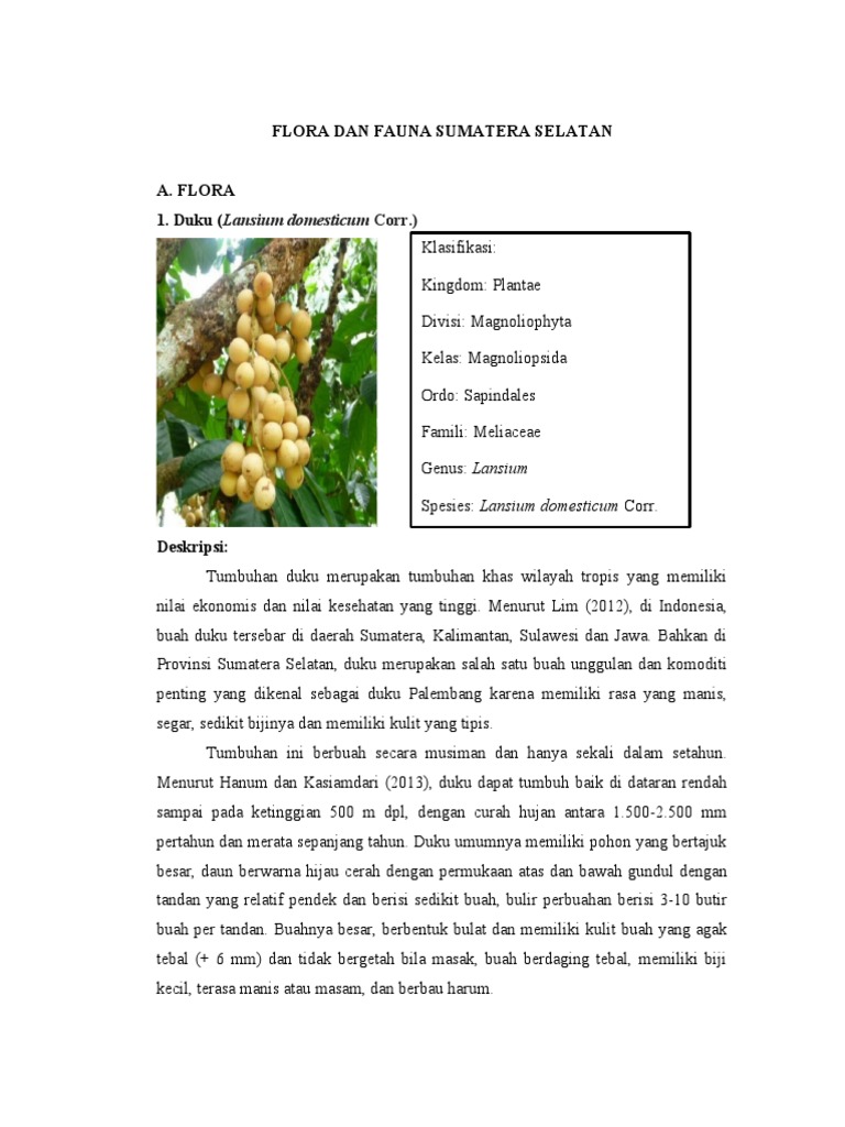 Flora Dan Fauna Sumatera Selatan | PDF
