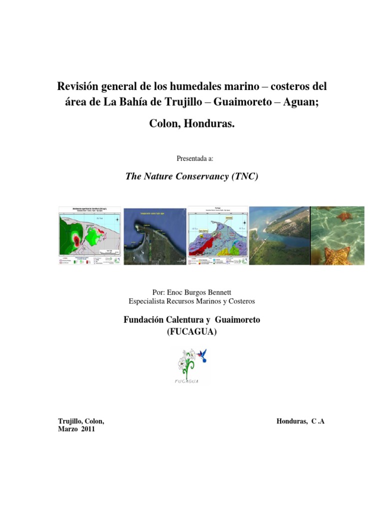Revision de Los Humedales de La Bahia de Rio Aguan PDF | PDF | Zona ...