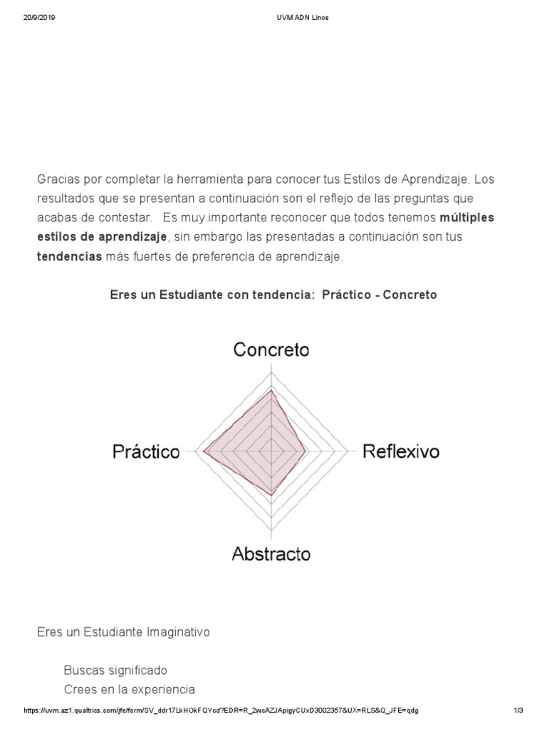 UVM ADN Lince Reporte Estilos de Aprendisaje PDF | PDF | Evaluación neuropsicológica | Aprendizaje