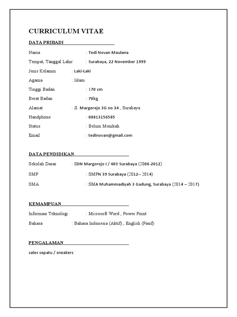 CV Tedi | PDF | Karier & Perkembangan | Gaya Hidup