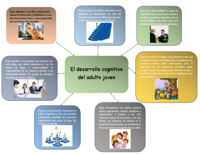 Desarrollo Cognitivo Del Adulto | PDF | Desarrollo cognitivo | Adultos