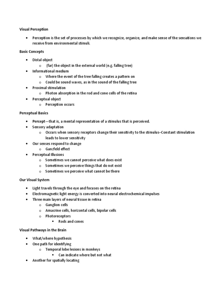 Visual Perception | PDF | Visual System | Perception