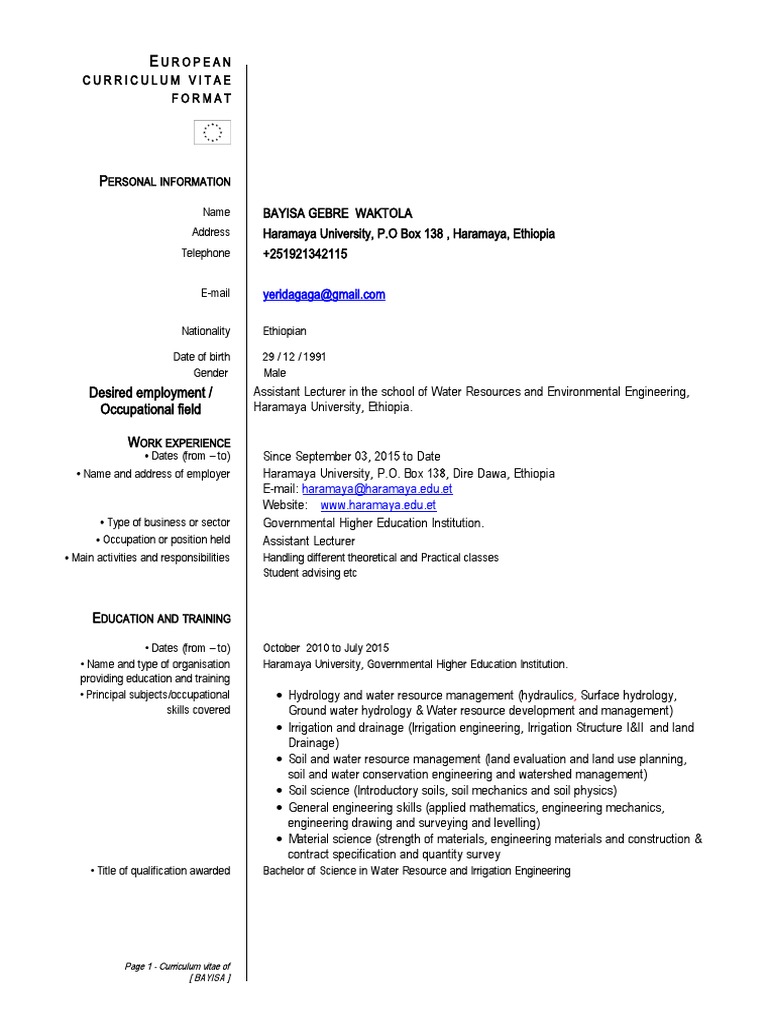 European CV Format-1 | PDF | Hydrology | Engineering
