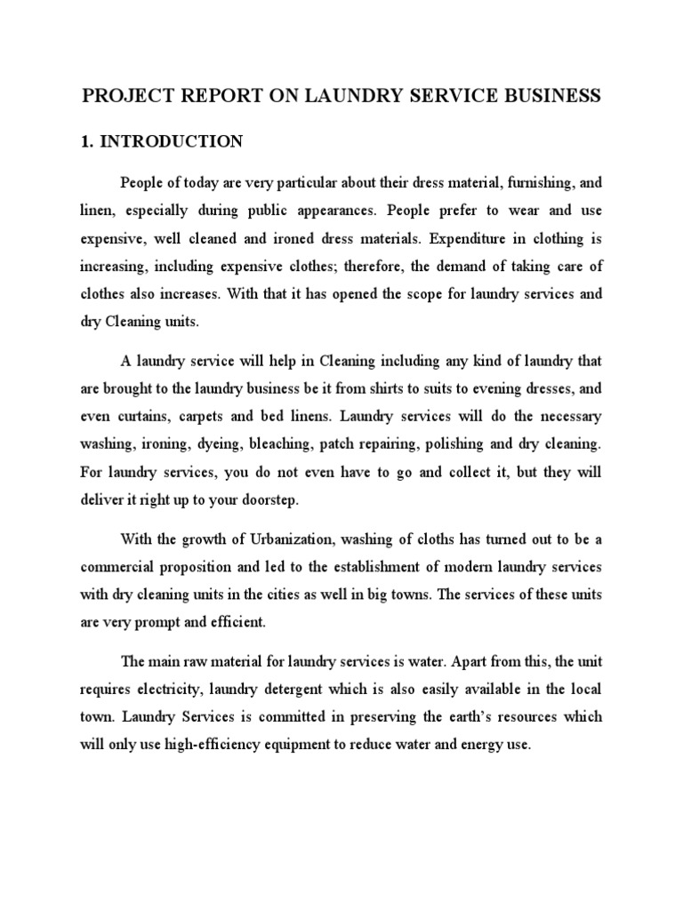 Project Report On Laundry Service Business | PDF | Laundry | Interest