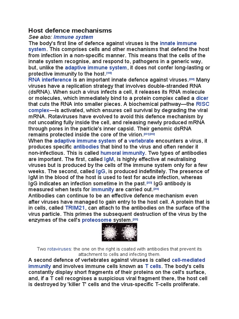 Host Defence Mechanisms: Innate Immune System | PDF | Virus | Adaptive ...