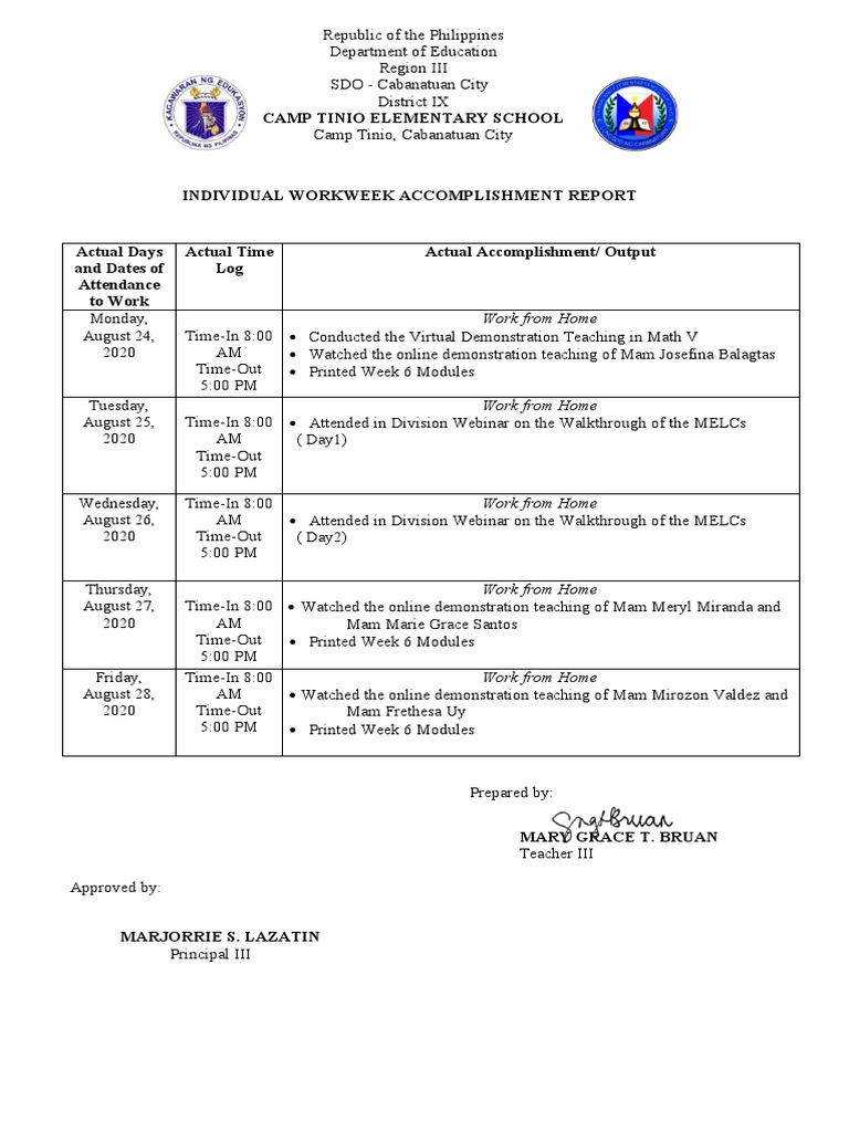 August 24-28, 2020 Bruan Individual-WorkWeek-Plan-Accomplishment-Report ...