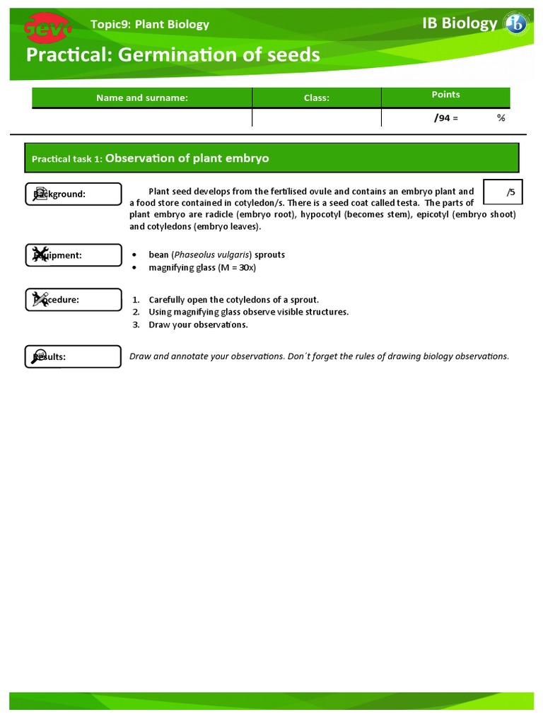 Practical: Germination of Seeds: IB Biology | Download Free PDF | Seed ...