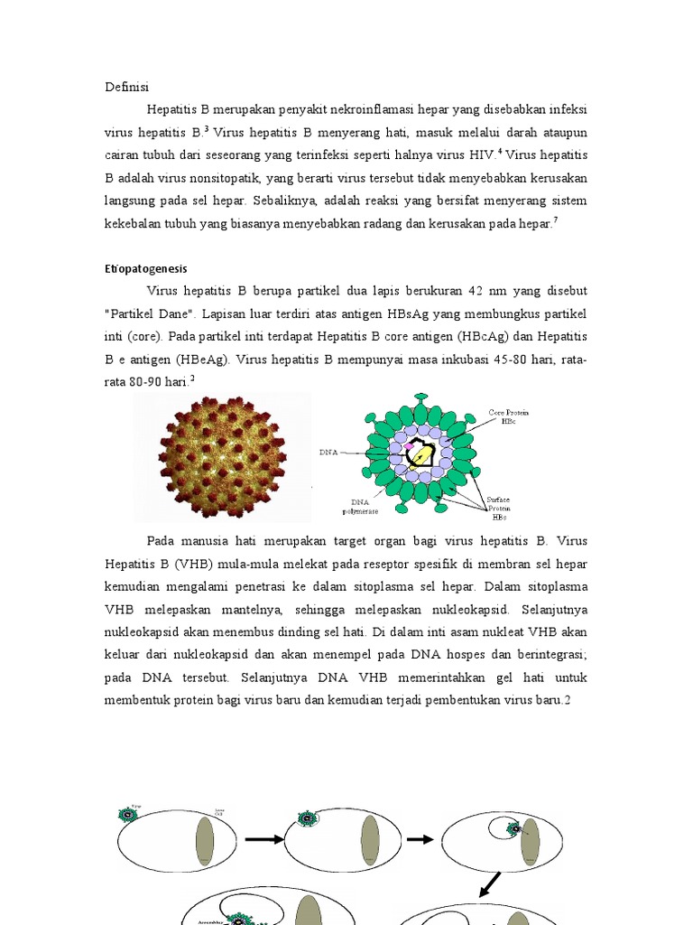 Hepatitis | PDF | Sains & Matematika