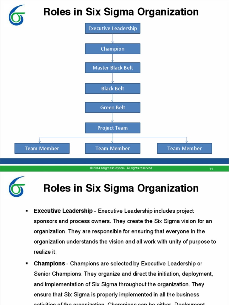 Roles in Six Sigma Organization: Executive Leadership | PDF | Six Sigma ...