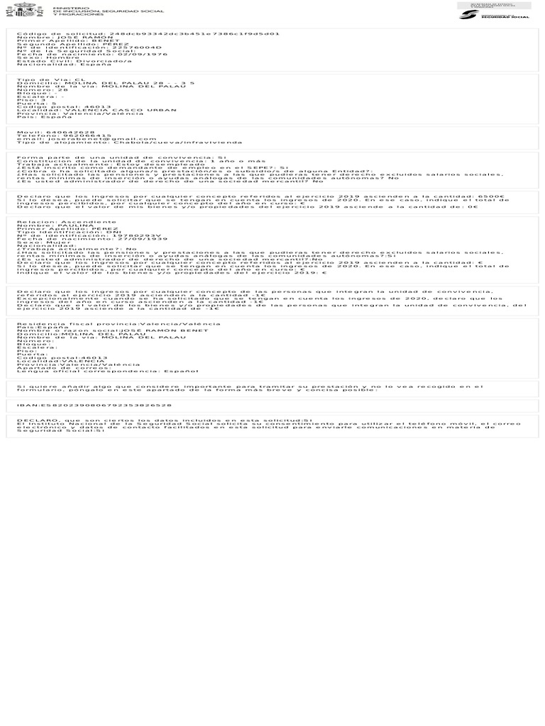 IMV Resumen Solicitud Web PDF | PDF | Business