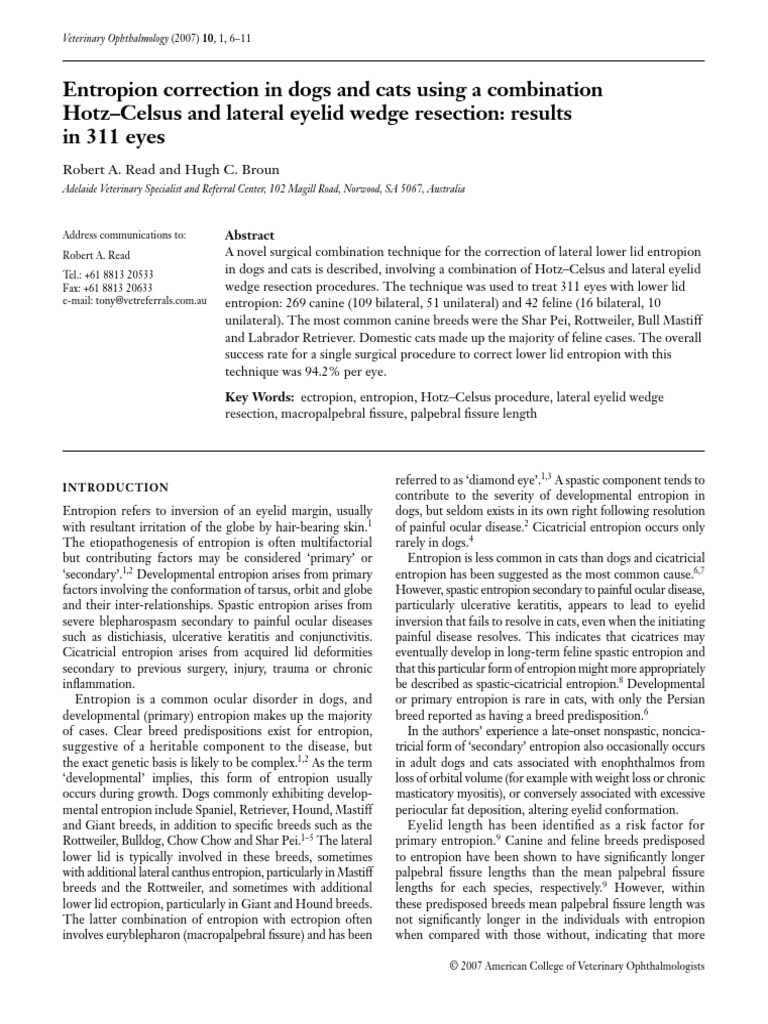 Entropion Correction in Dogs and Cats Using A Combination Hotz-Celsus ...