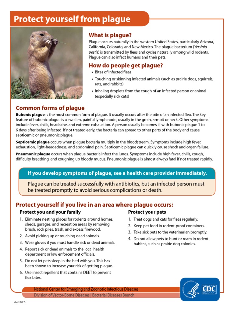 Protect Yourself From Plague | PDF | Animals And Humans | Clinical Medicine
