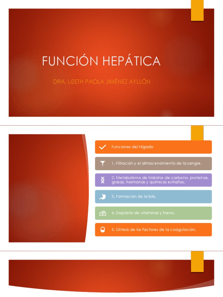 Función Hepática PDF | PDF | Hígado | Metabolismo