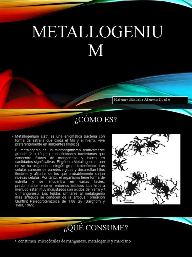 Metallogenium Suelos | PDF