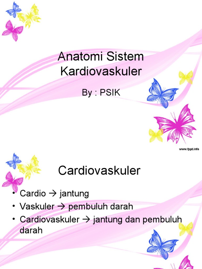 Anatomi Sistem Kardiovaskuler | PDF