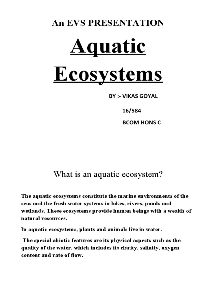 Aquatic Ecosystems: An Evs Presentation | PDF | Aquatic Ecosystem | Grassland