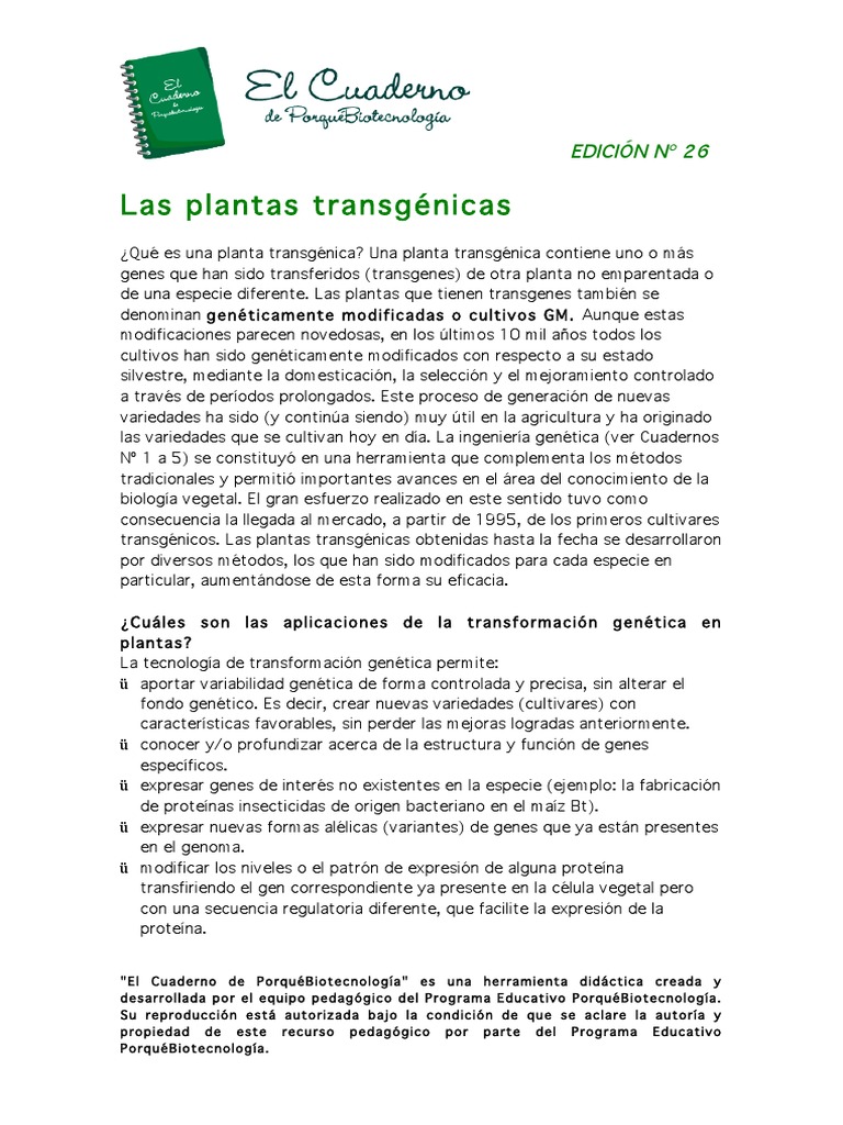 Las Plantas Transgénicas | PDF | Organismo genéticamente modificado ...