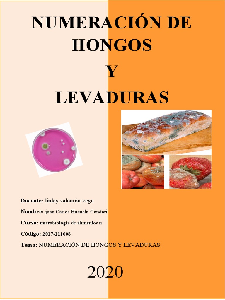 Hongos Y Levadura Pdf Hongo Levadura